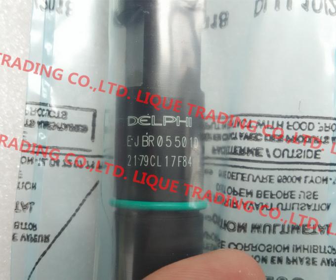DELPHI EJBR05501D / R05501D Original Common Rail Injector EJBR05501D ...