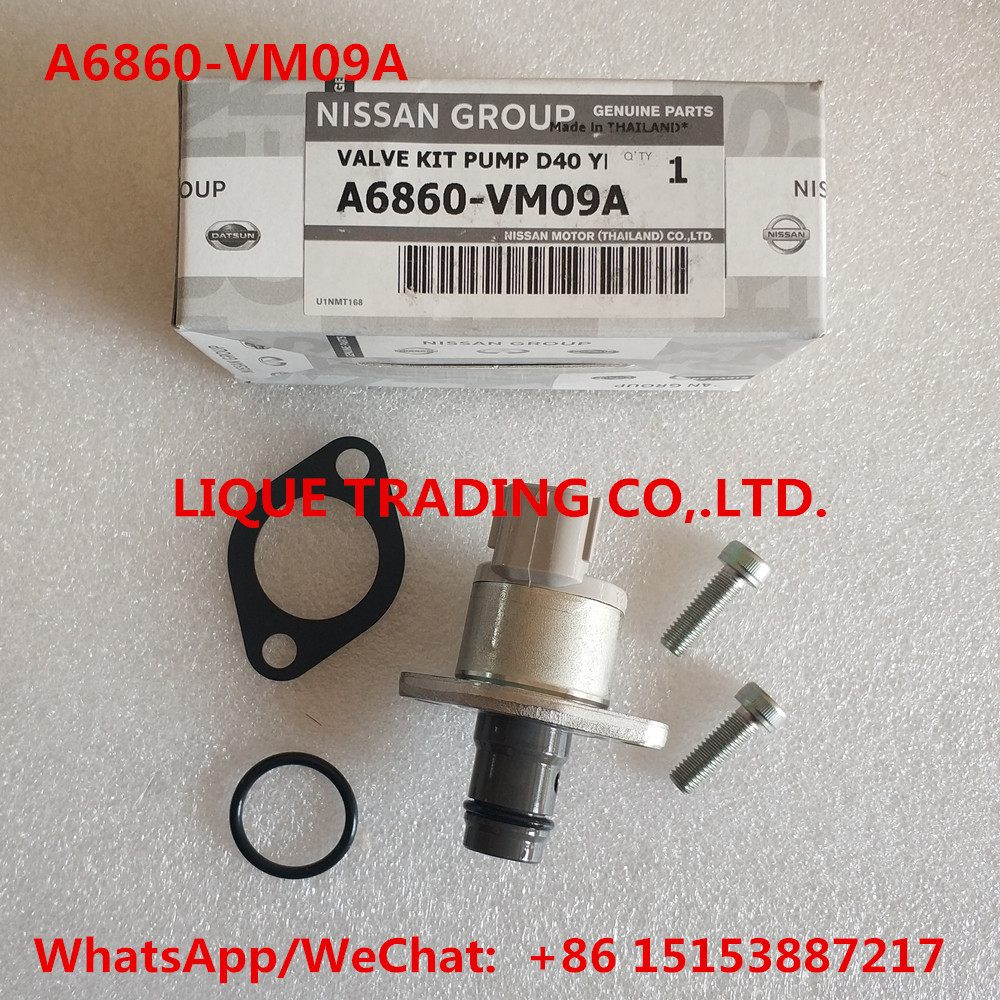 Overhaul kits A6860-VM09A , A6860VM09A , A6860 VM09A include valve 294200-0360