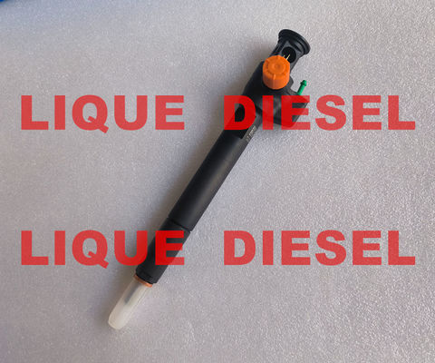 DELPHI Injector on sales - Quality DELPHI Injector supplier